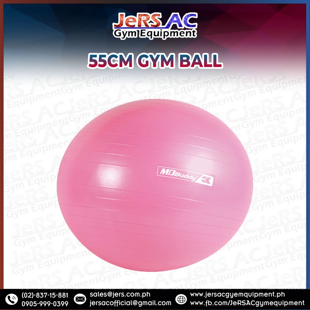 55cm Gym Ball, Sports Equipment, Other Sports Equipment and Supplies on ...