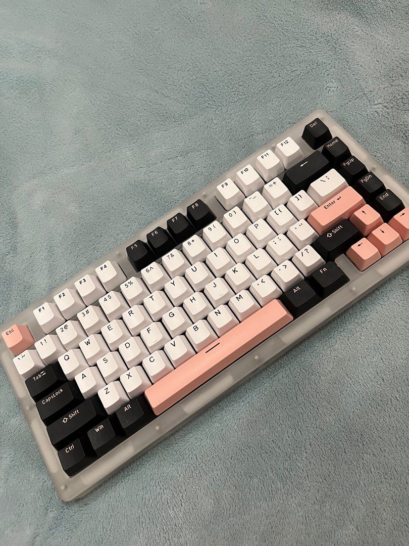 Akko ACR Pro 75 [Custom Glorious Panda], Computers & Tech, Parts ...