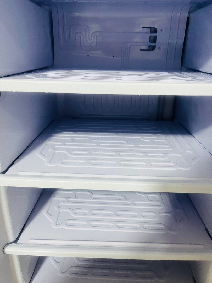 Condura Inverter 8.0 cu ft Upright Chest Freezer with FREE Condura 2HP ...