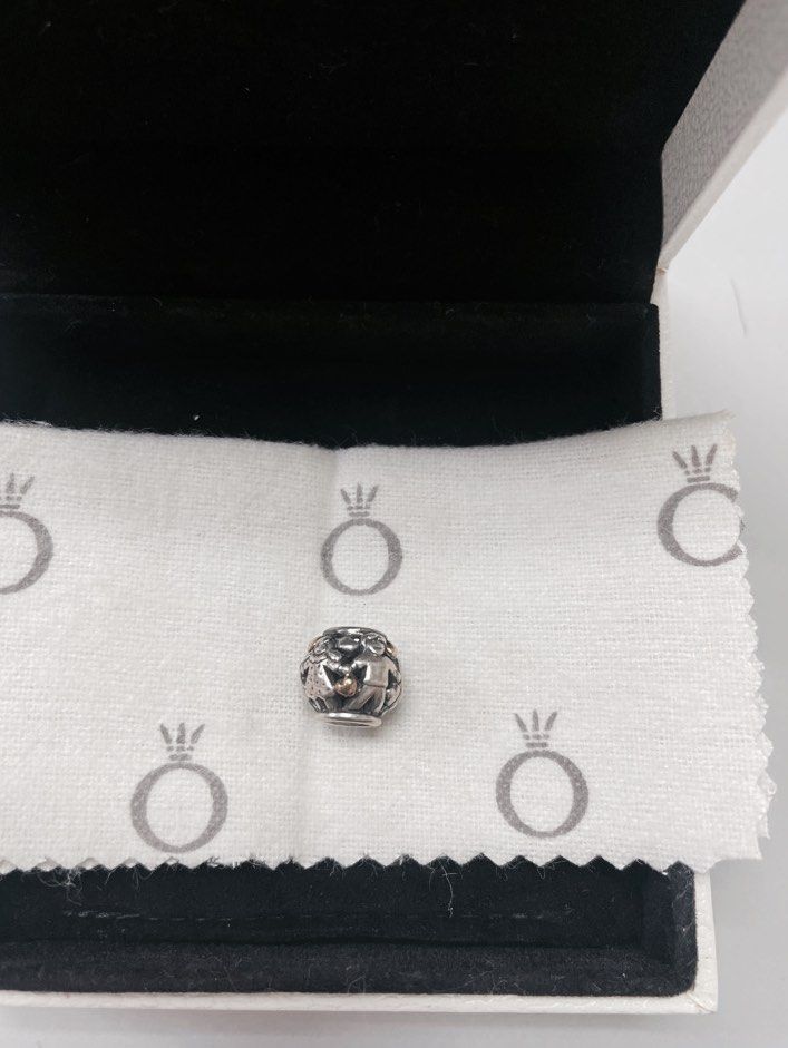 Pandora Limited Edition Family Charm, Women's Fashion, Jewelry ...