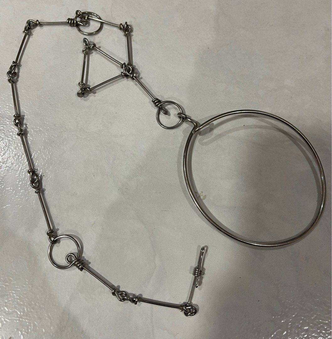 Parrot leg chain, Pet Supplies, Homes & Other Pet Accessories on Carousell