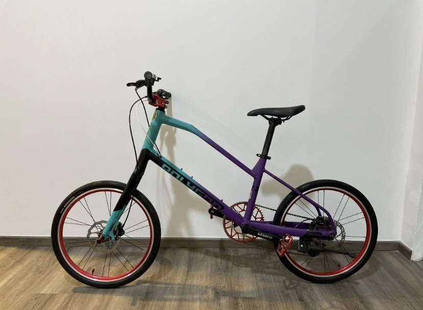 Polygon Zeta 2 Mini Velo, Sports Equipment, Bicycles & Parts, Bicycles ...