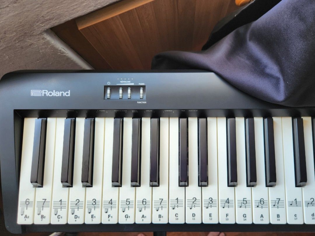 Roland Fp10, Hobbies & Toys, Music & Media, Musical Instruments on ...