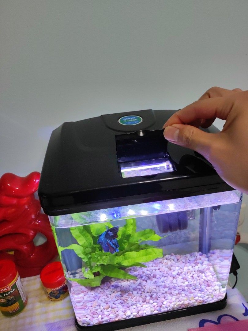 Sobo fish tank all in one with filter and light, Pet Supplies, Homes ...
