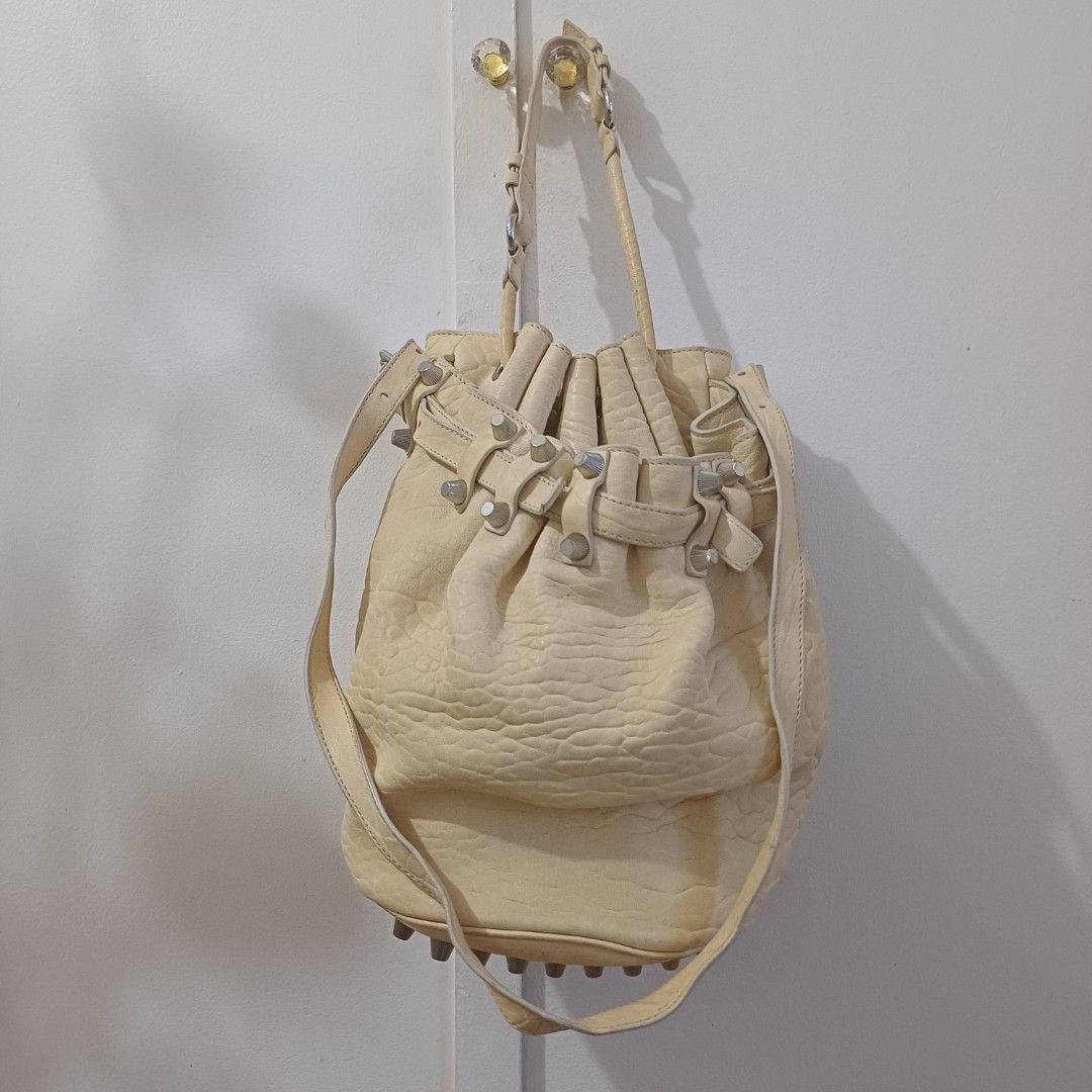 Alexander Wang Diego Bag, Women's Fashion, Bags & Wallets, Shoulder ...