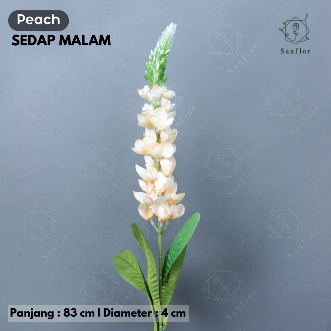 Sedap Malam Flower | Best Flower Site