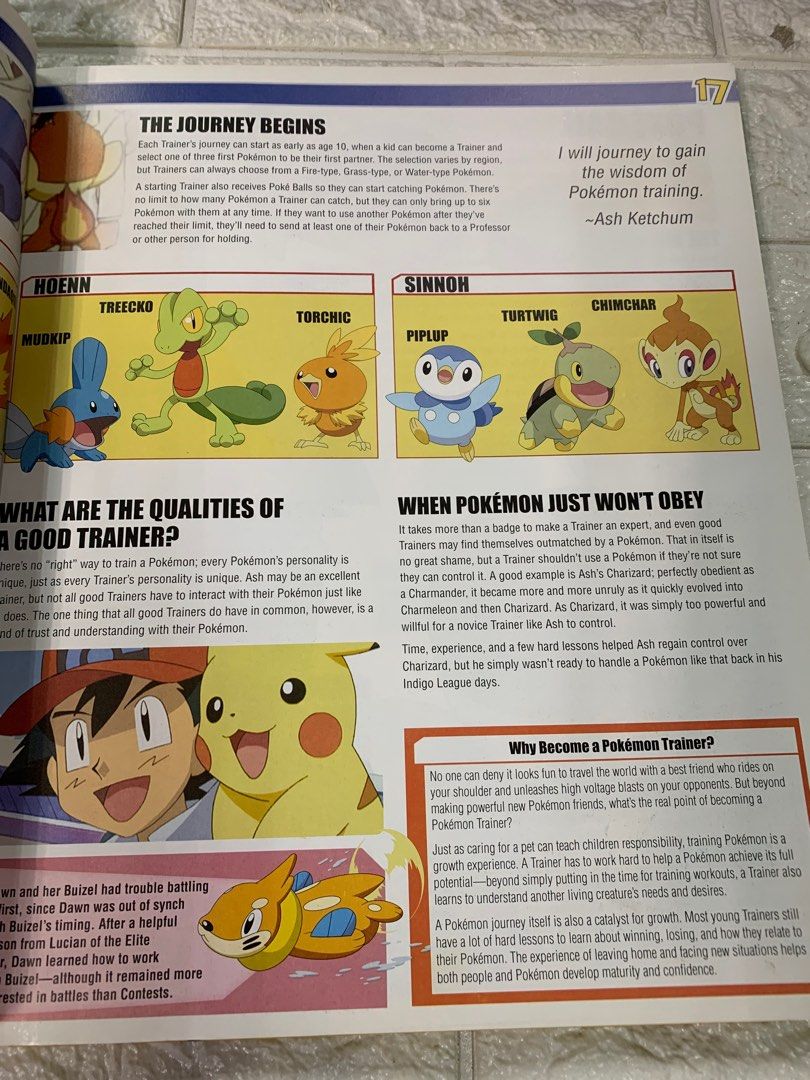 Dk Pokemon Visual Guide, Hobbies & Toys, Books & Magazines, Children's ...
