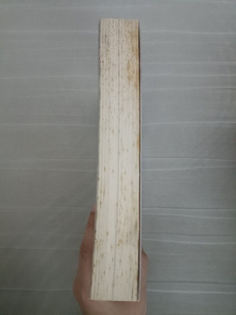 Dreamland Burning by Jennifer Latham PB, Hobbies & Toys, Books ...