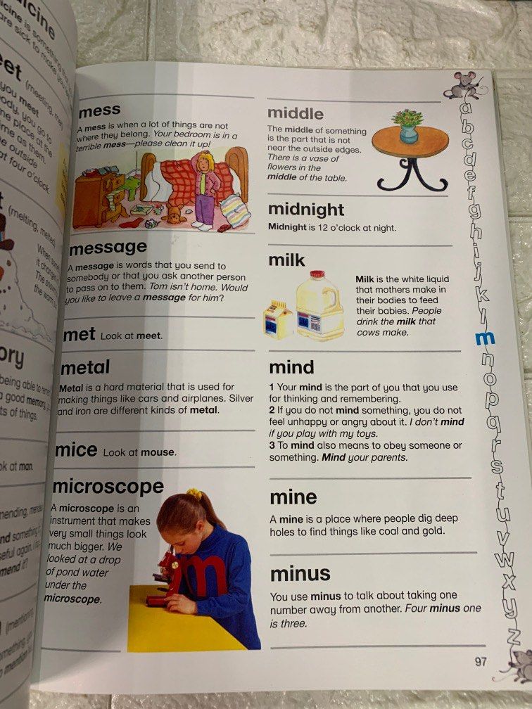 Kingfisher First Dictionary, Hobbies & Toys, Books & Magazines ...