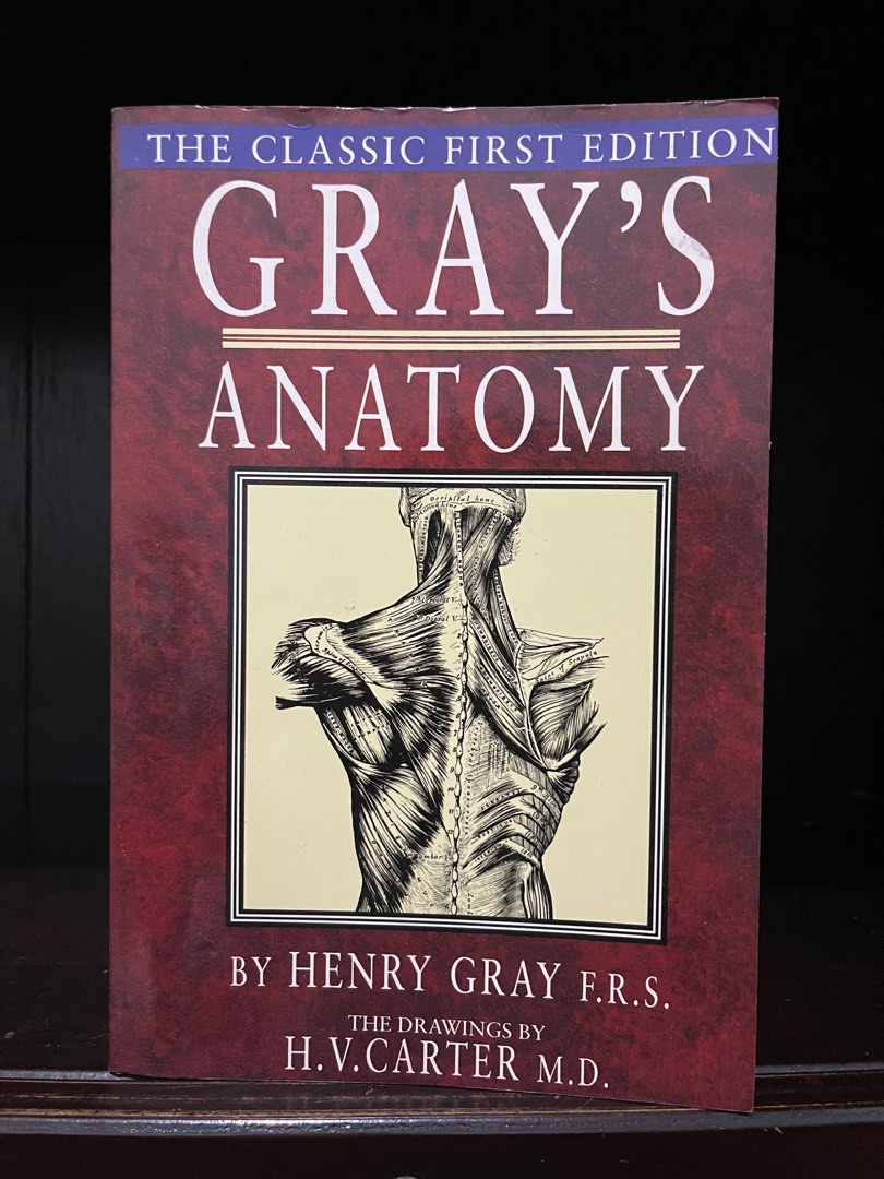 R6, Hobbies & Toys, Books & Magazines, Storybooks on Carousell