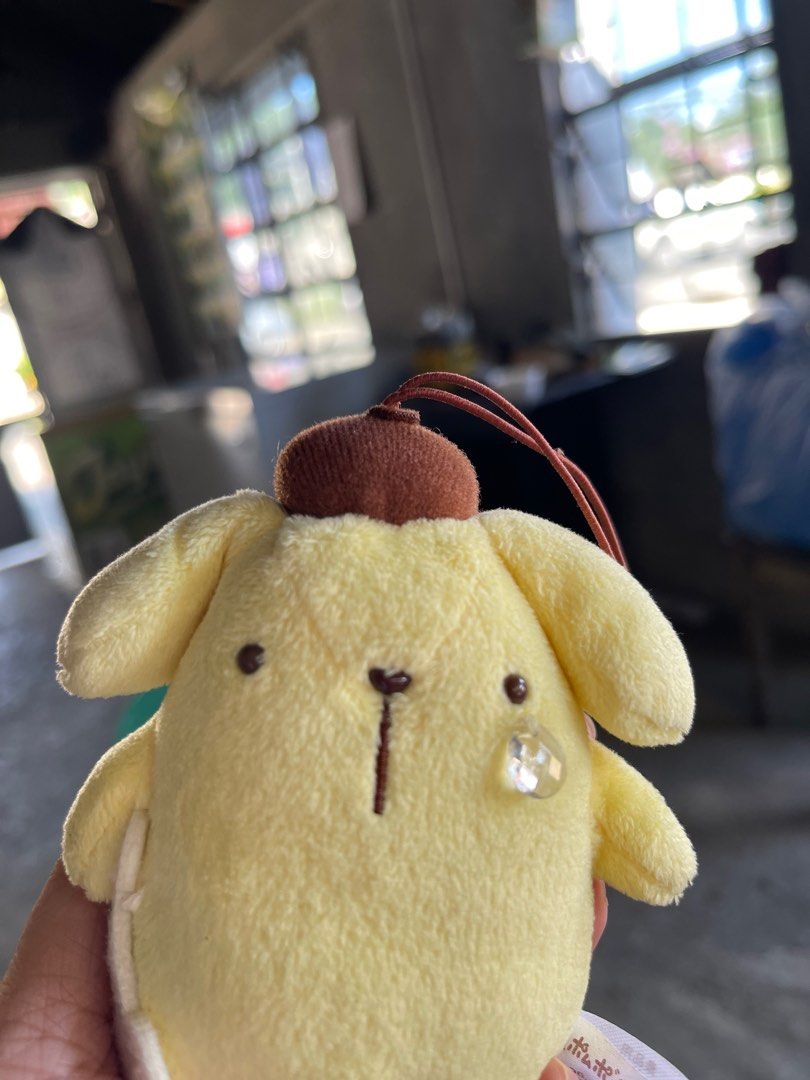 Sanrio Rare Pompompurin charm plush, Hobbies & Toys, Toys & Games on ...