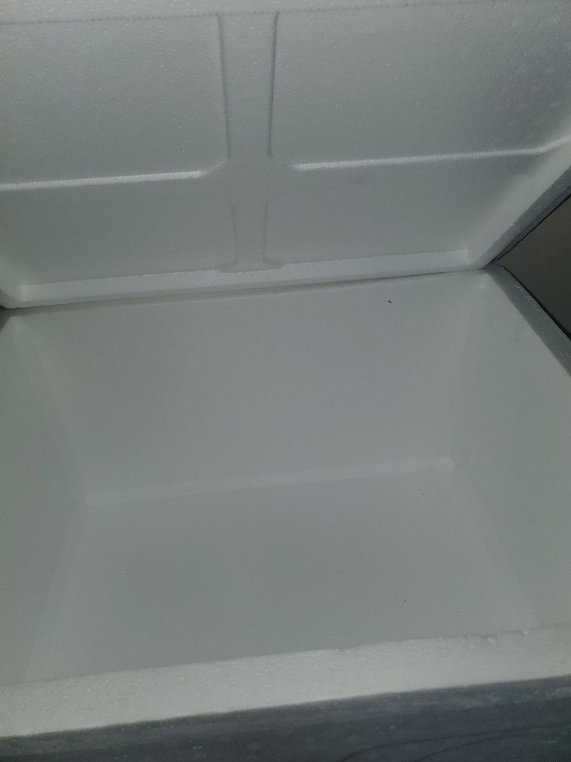 Styrofoam Large Storage Box, Food & Drinks, Chilled & Frozen Food on ...