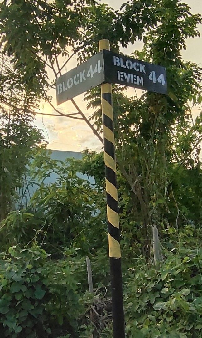 100sqm rush Barandal Calamba, Property, For Sale, Lot on Carousell