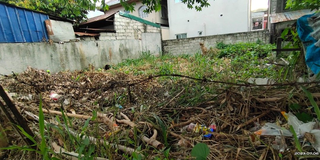 100sqm rush Barandal Calamba, Property, For Sale, Lot on Carousell