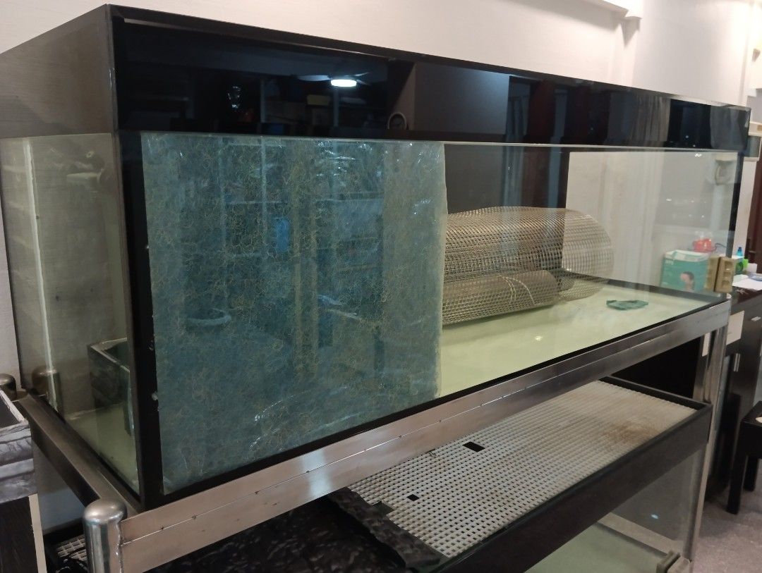 2 x 6ft x 2ft x 2ft Fish tanks [with rack] for sale, Pet Supplies ...