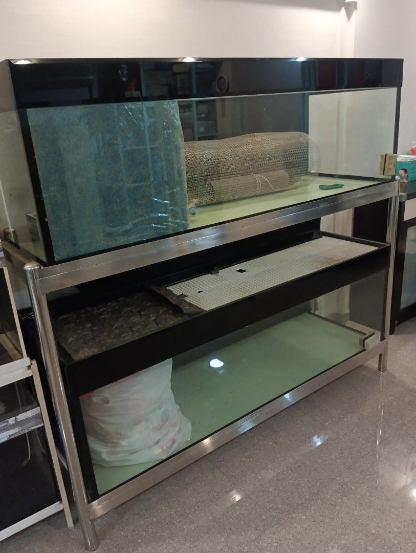 2 x 6ft x 2ft x 2ft Fish tanks [with rack] for sale, Pet Supplies ...