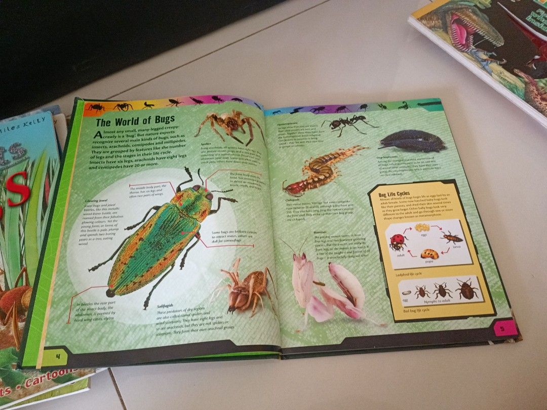 all about bugs book, Hobbies & Toys, Books & Magazines, Children's ...