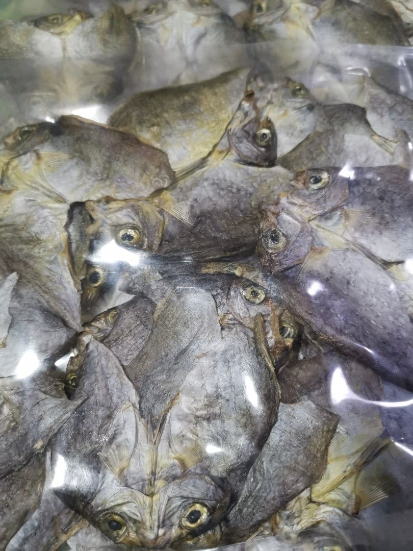 DANGGIT Dried Fish from Bantayan Cebu, Food & Drinks, Local Eats on ...