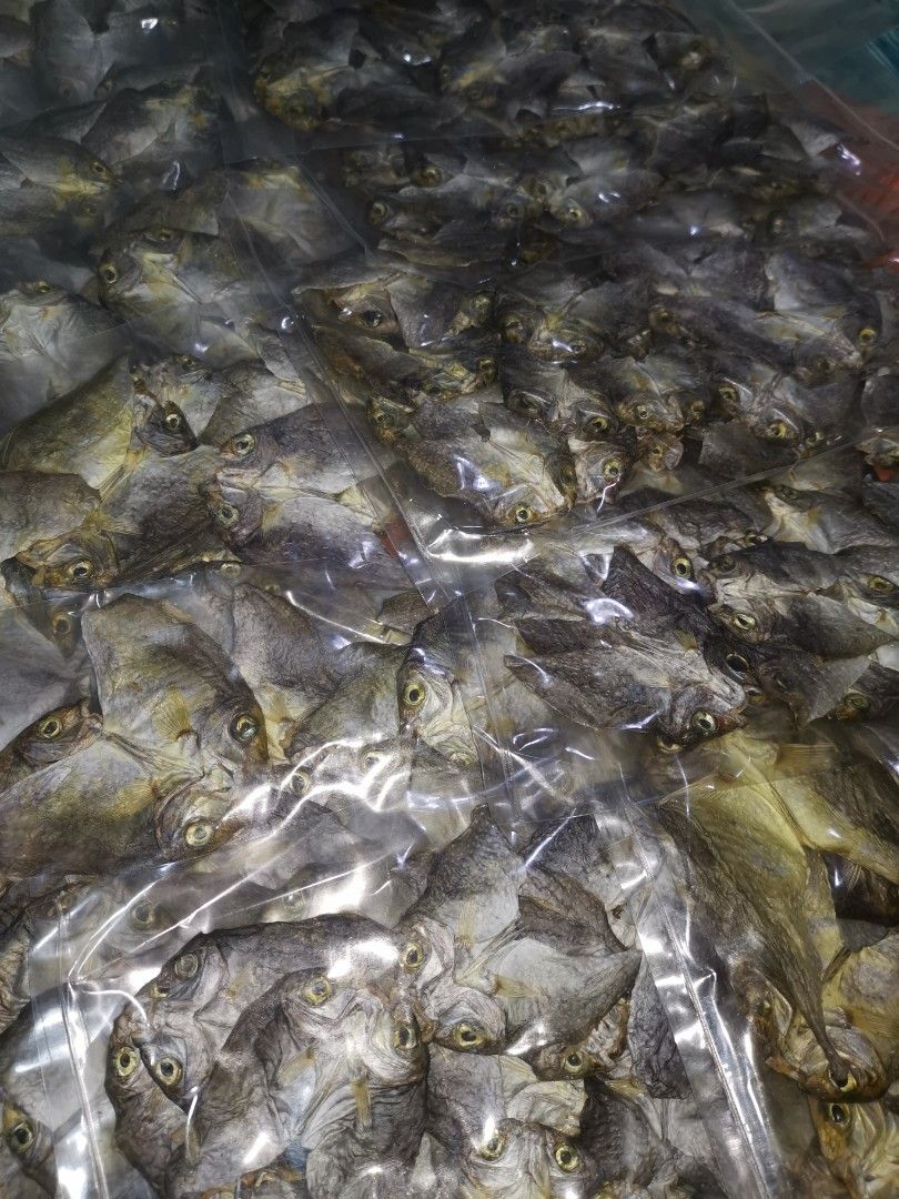 DANGGIT Dried Fish from Bantayan Cebu, Food & Drinks, Local Eats on ...