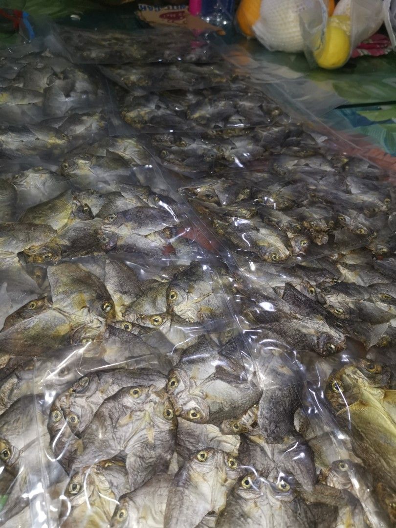 DANGGIT Dried Fish from Bantayan Cebu, Food & Drinks, Local Eats on ...