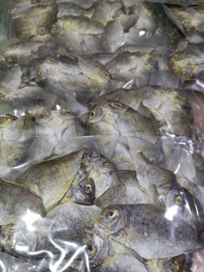 DANGGIT Dried Fish from Bantayan Cebu, Food & Drinks, Local Eats on ...