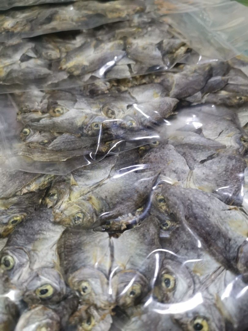 DANGGIT Dried Fish from Bantayan Cebu, Food & Drinks, Local Eats on ...