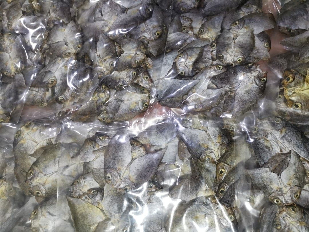 DANGGIT Dried Fish from Bantayan Cebu, Food & Drinks, Local Eats on ...