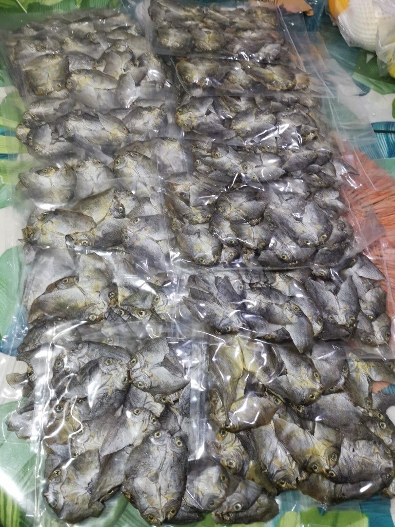 DANGGIT Dried Fish from Bantayan Cebu, Food & Drinks, Local Eats on ...