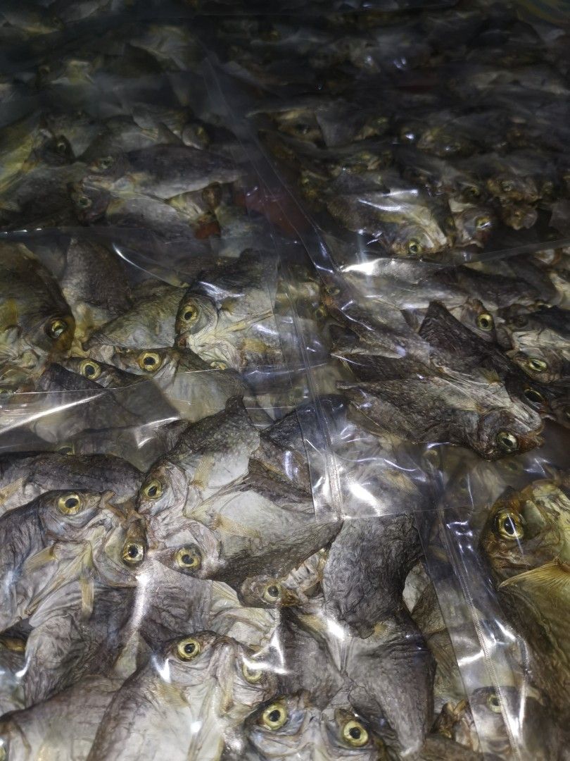 DANGGIT Dried Fish from Bantayan Cebu, Food & Drinks, Local Eats on ...