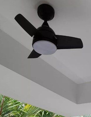 Fanco Bee 26" 3 Blade Ceiling Fan with 3 Tone LED Light Kit and Remote ...