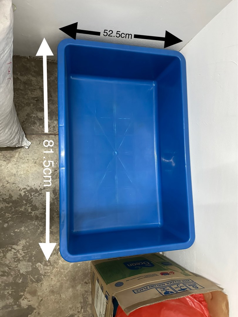 Fish tub, Pet Supplies, Homes & Other Pet Accessories on Carousell