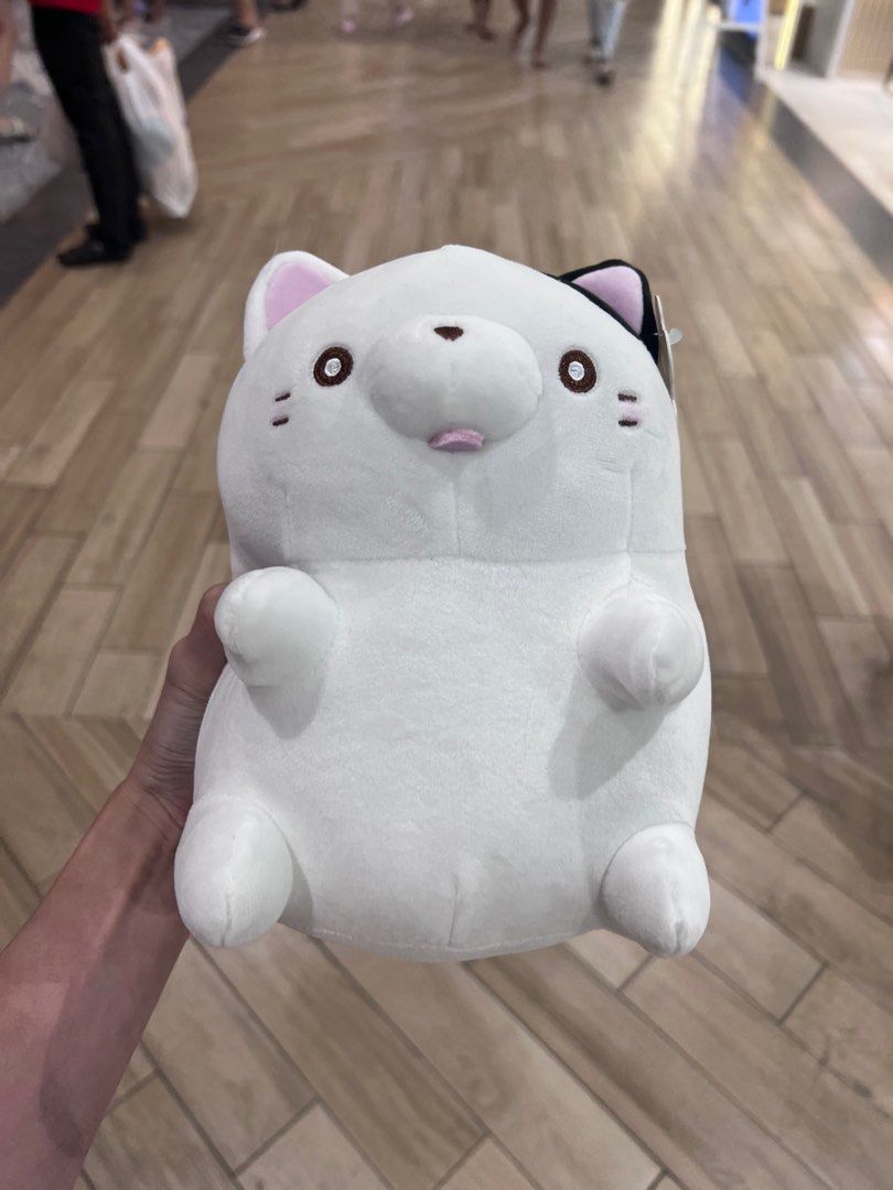 Fun claw cat soft toy, Hobbies & Toys, Toys & Games on Carousell