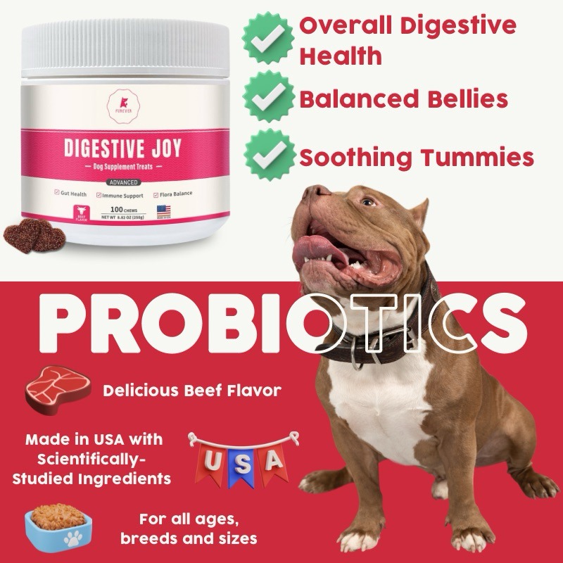 FurEver PH Digestive Joy Dog Supplement Treat (ADVANCED) Beef Flavor ...