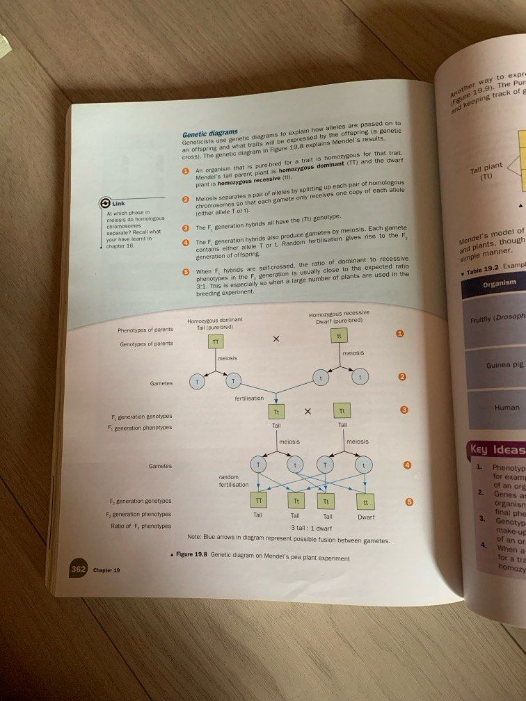 GCE O level Biology TextBook, Hobbies & Toys, Books & Magazines ...