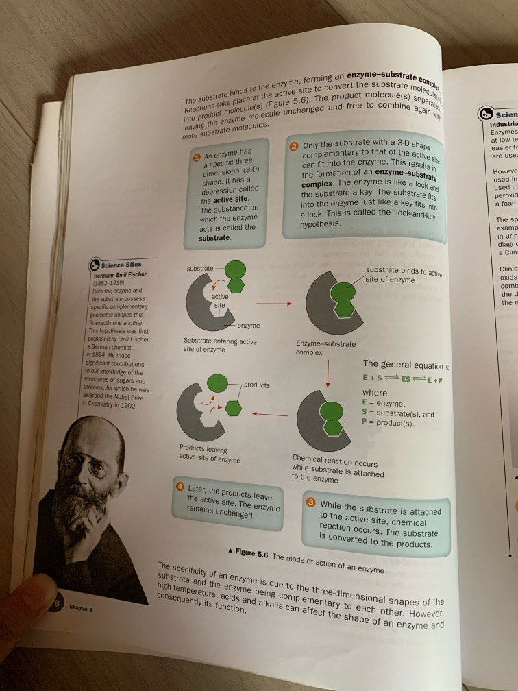 GCE O level Biology TextBook, Hobbies & Toys, Books & Magazines ...