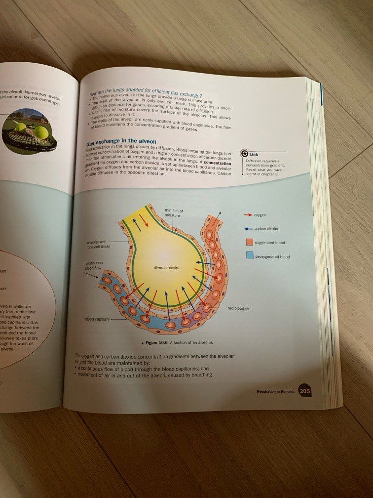 GCE O level Biology TextBook, Hobbies & Toys, Books & Magazines ...