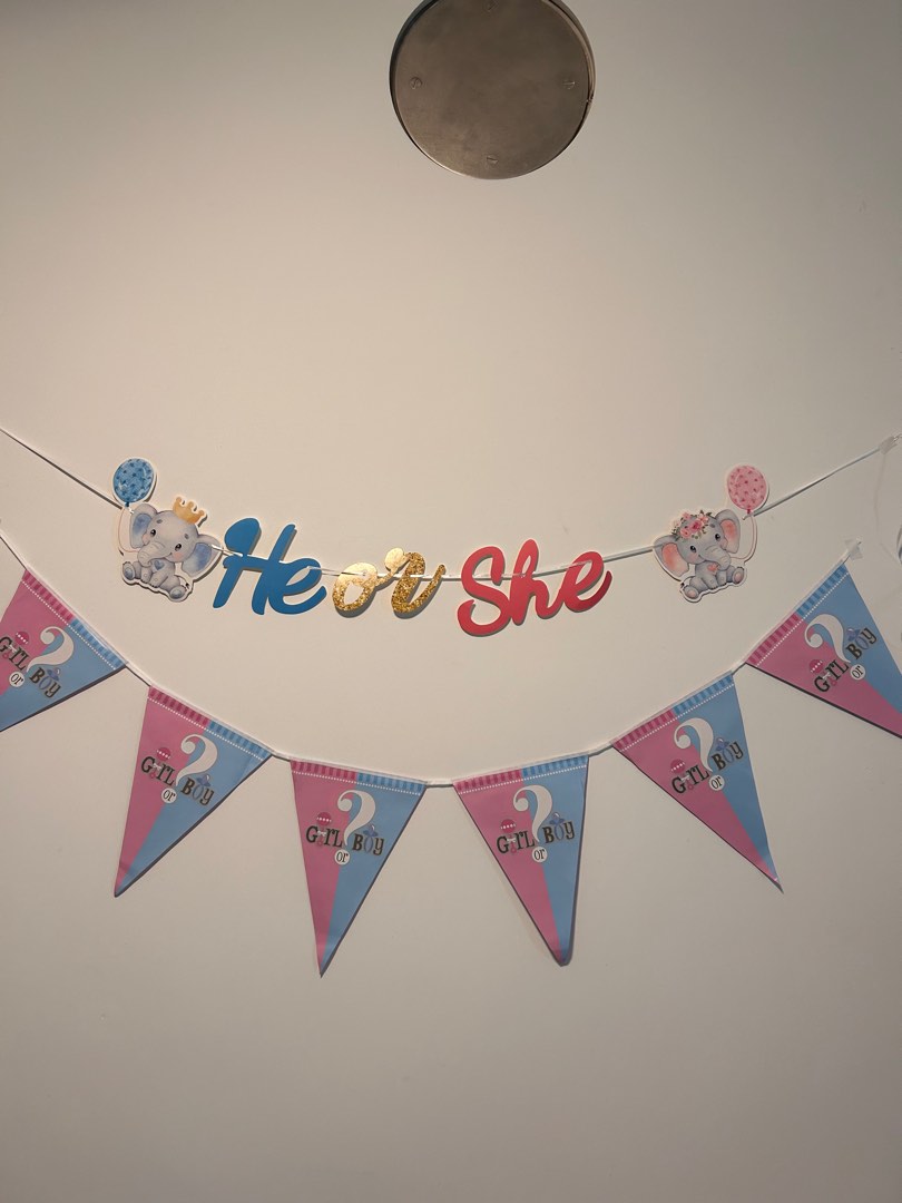 Gender Reveal Banner he or she banner and pink and blue balloons ...