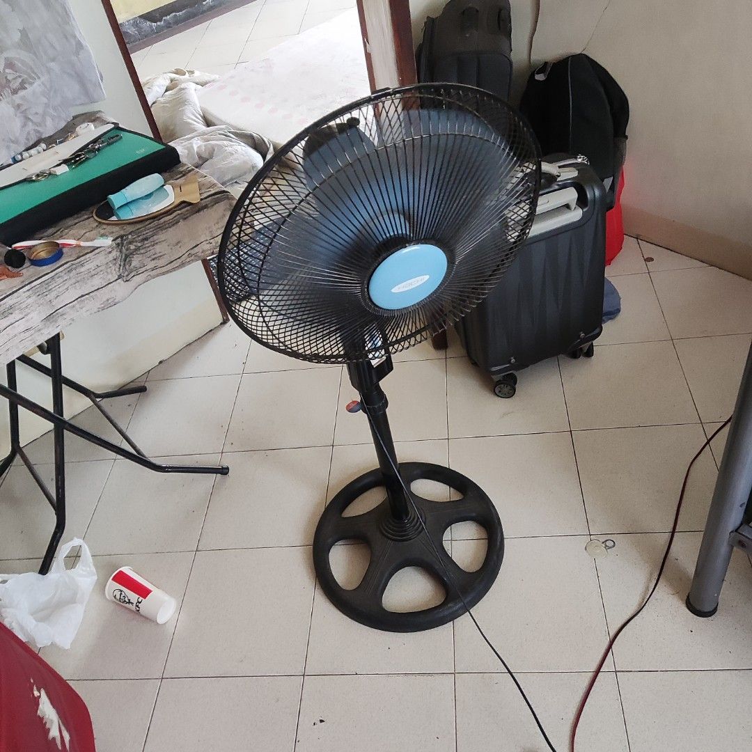 HACHI, Furniture & Home Living, Lighting & Fans, Fans on Carousell