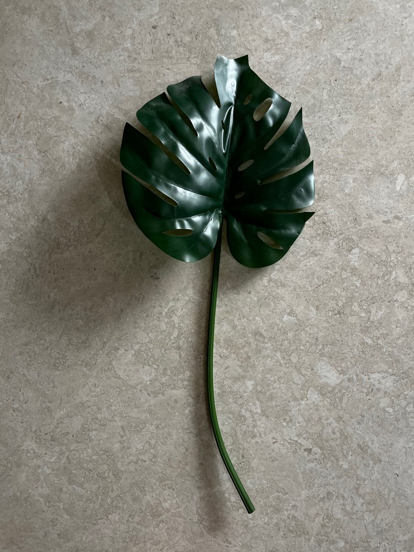 IKEA big monstera leaf, Furniture & Home Living, Home Decor, Artificial ...