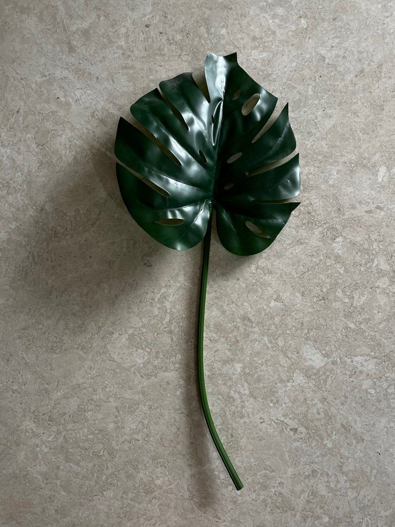 IKEA big monstera leaf, Furniture & Home Living, Home Decor, Artificial ...