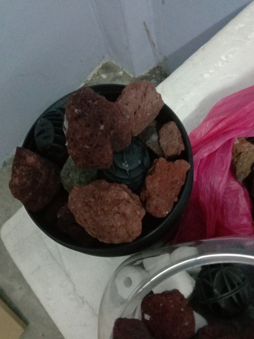larva rock ,bio ring dan batu, Pet Supplies, Homes & Other Pet ...