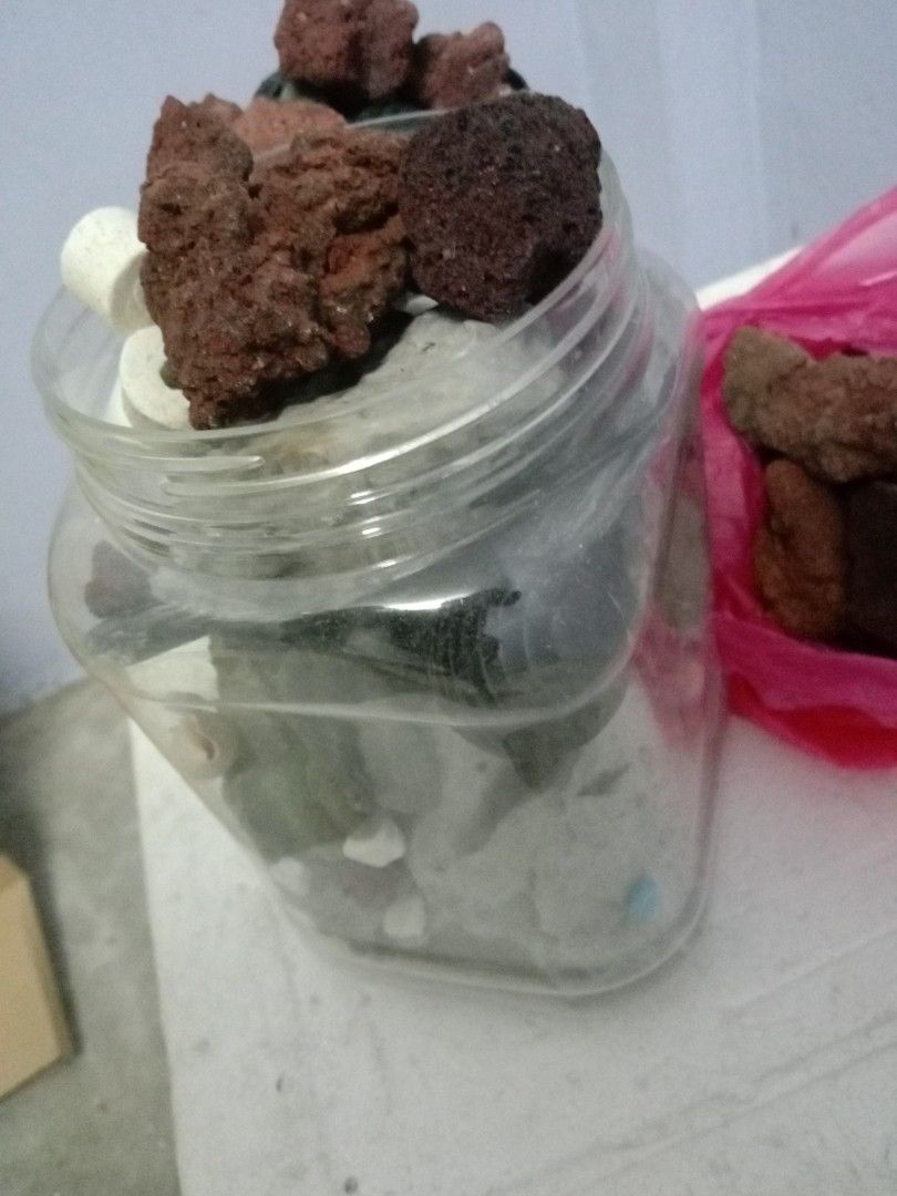 larva rock ,bio ring dan batu, Pet Supplies, Homes & Other Pet ...