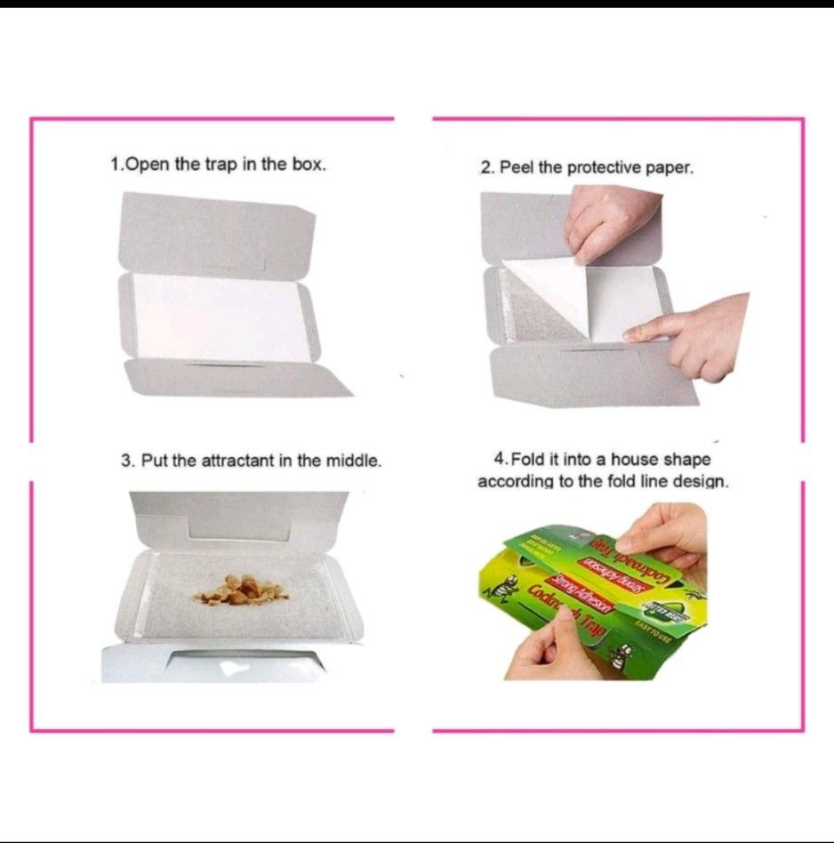 Lizard & Cockroach Trap Box with bait, Everything Else on Carousell