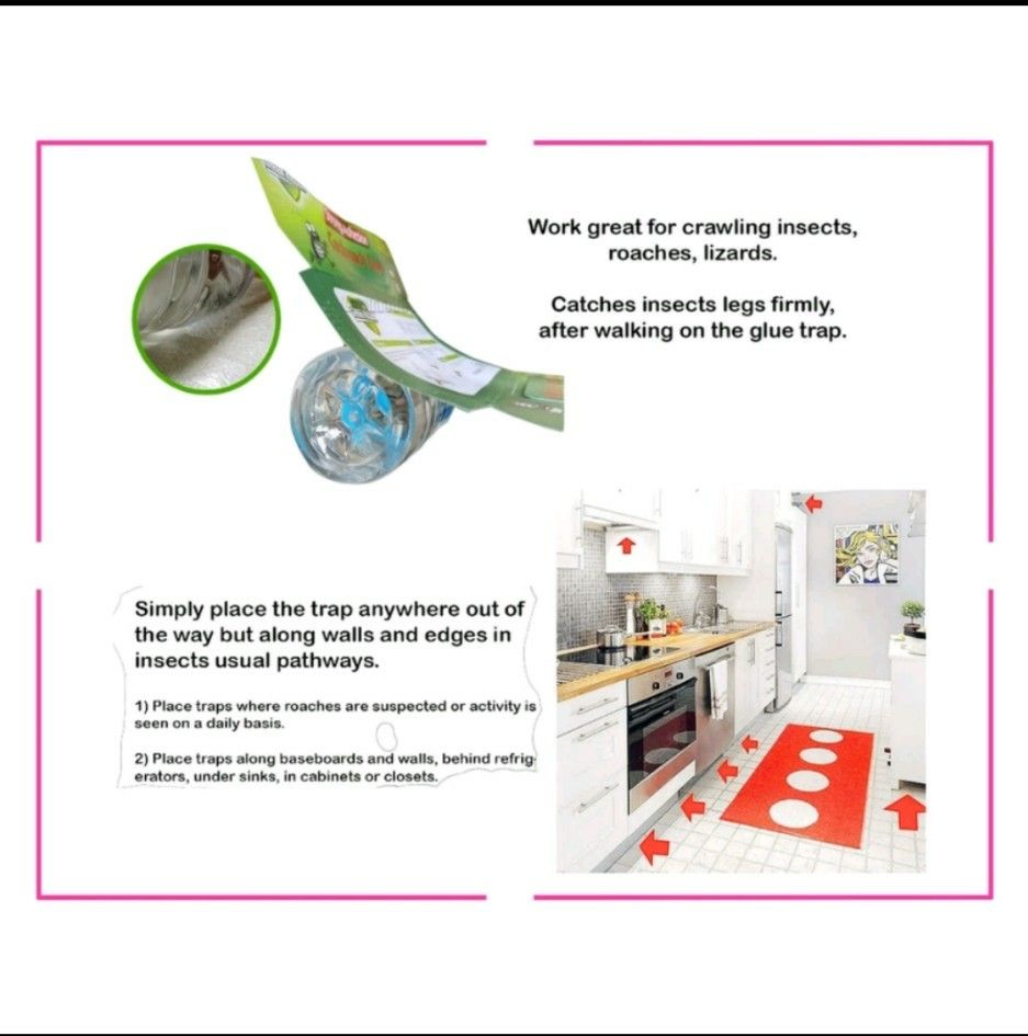 Lizard & Cockroach Trap Box with bait, Everything Else on Carousell