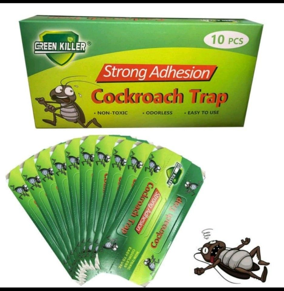 Lizard & Cockroach Trap Box with bait, Everything Else on Carousell