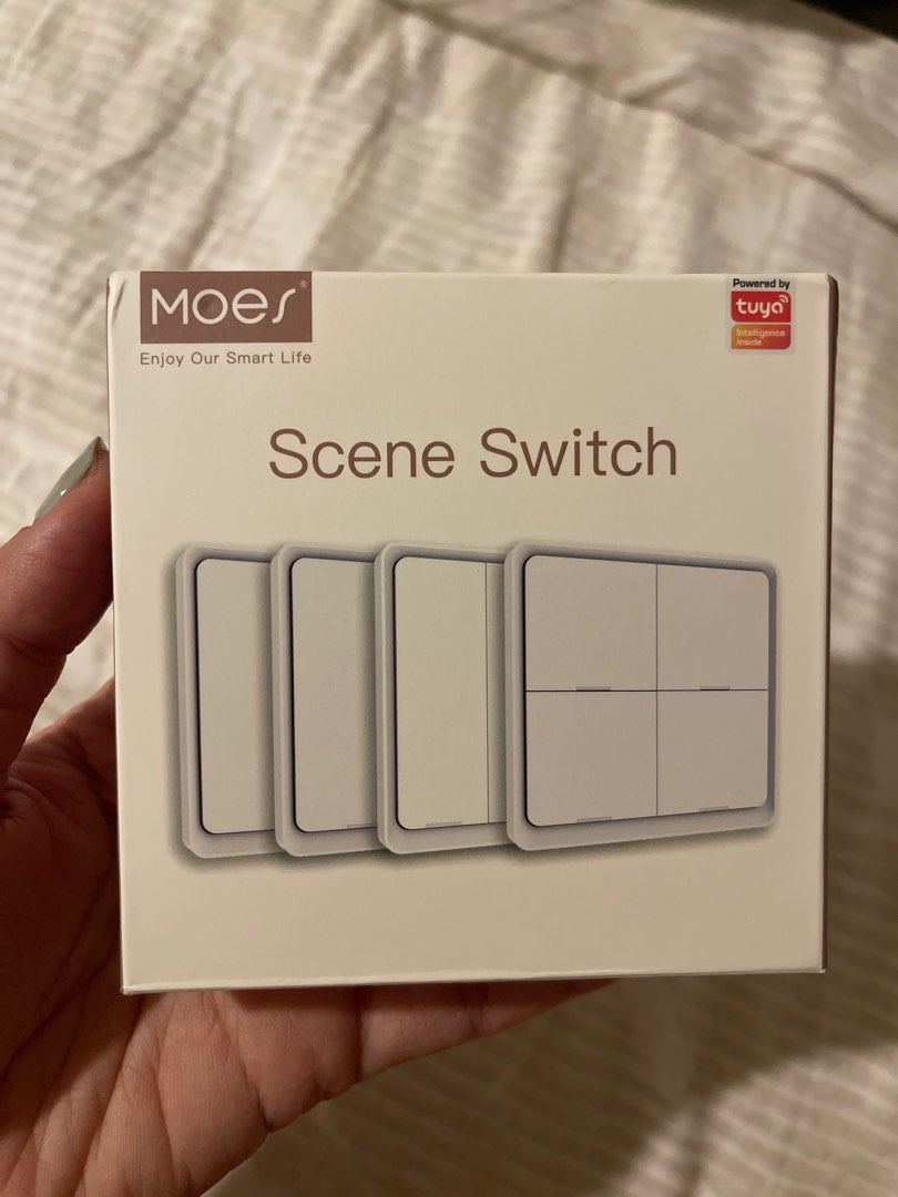 Moes scene switch 2 gang, TV & Home Appliances, Electrical, Adaptors ...