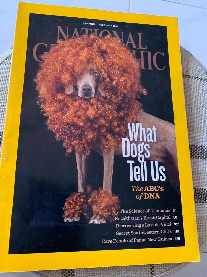 National Geographic, Hobbies & Toys, Books & Magazines, Magazines on ...