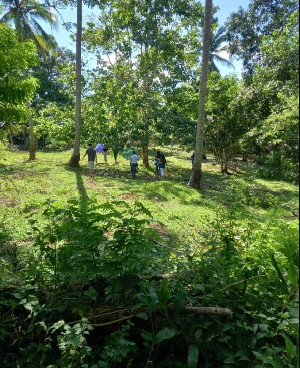 Paglaom Daine, Your Oasis in Indang, Cavite, Property, For Sale, Lot on ...