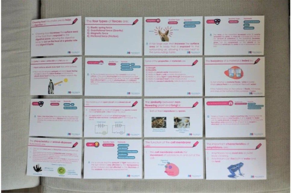 PolyMath PSLE Science Revision FlashCards, Hobbies & Toys, Books ...