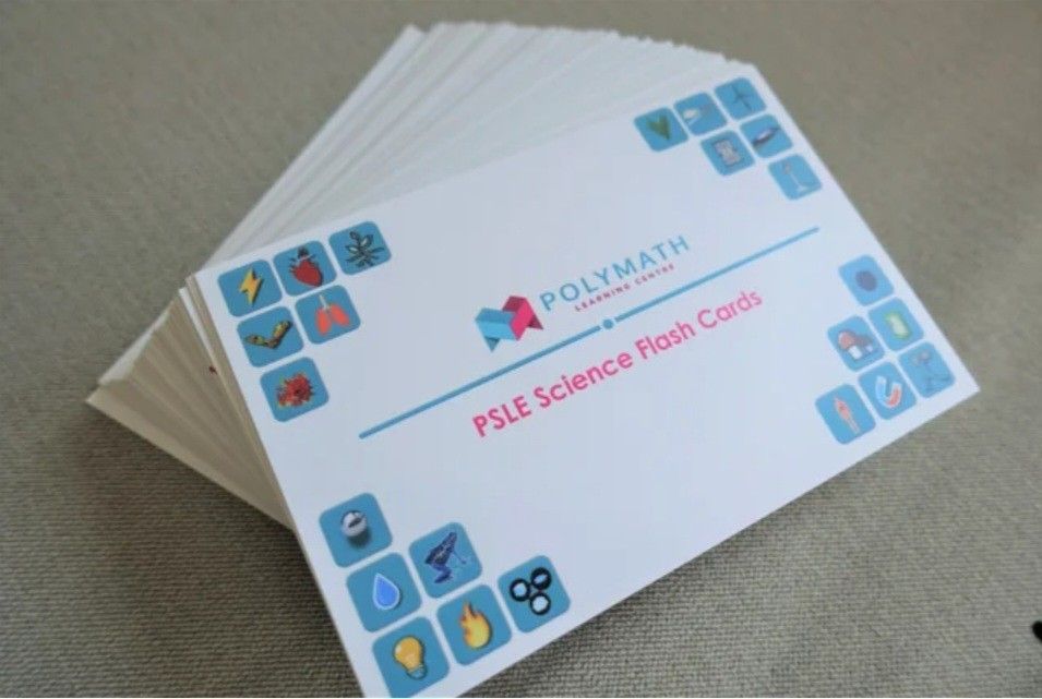 PolyMath PSLE Science Revision FlashCards, Hobbies & Toys, Books ...